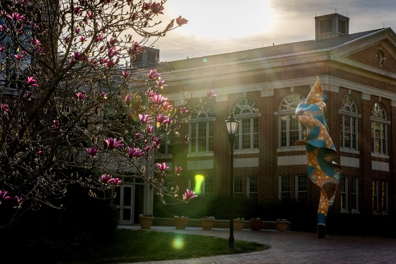 Strategic Plan | Davidson