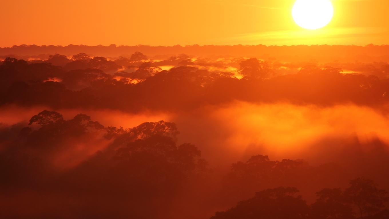 Education Abroad | Davidson