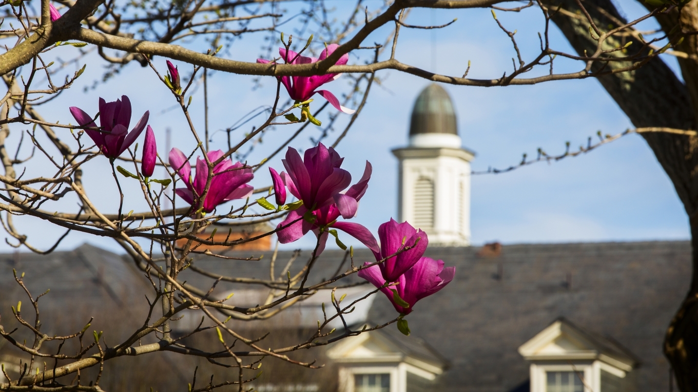Admission & Financial Aid | Davidson