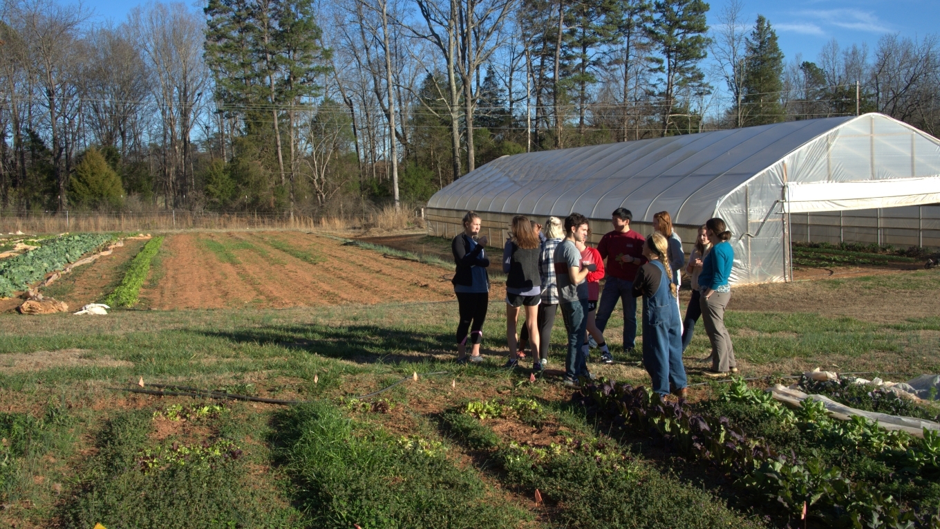 The Farm at Davidson | Davidson