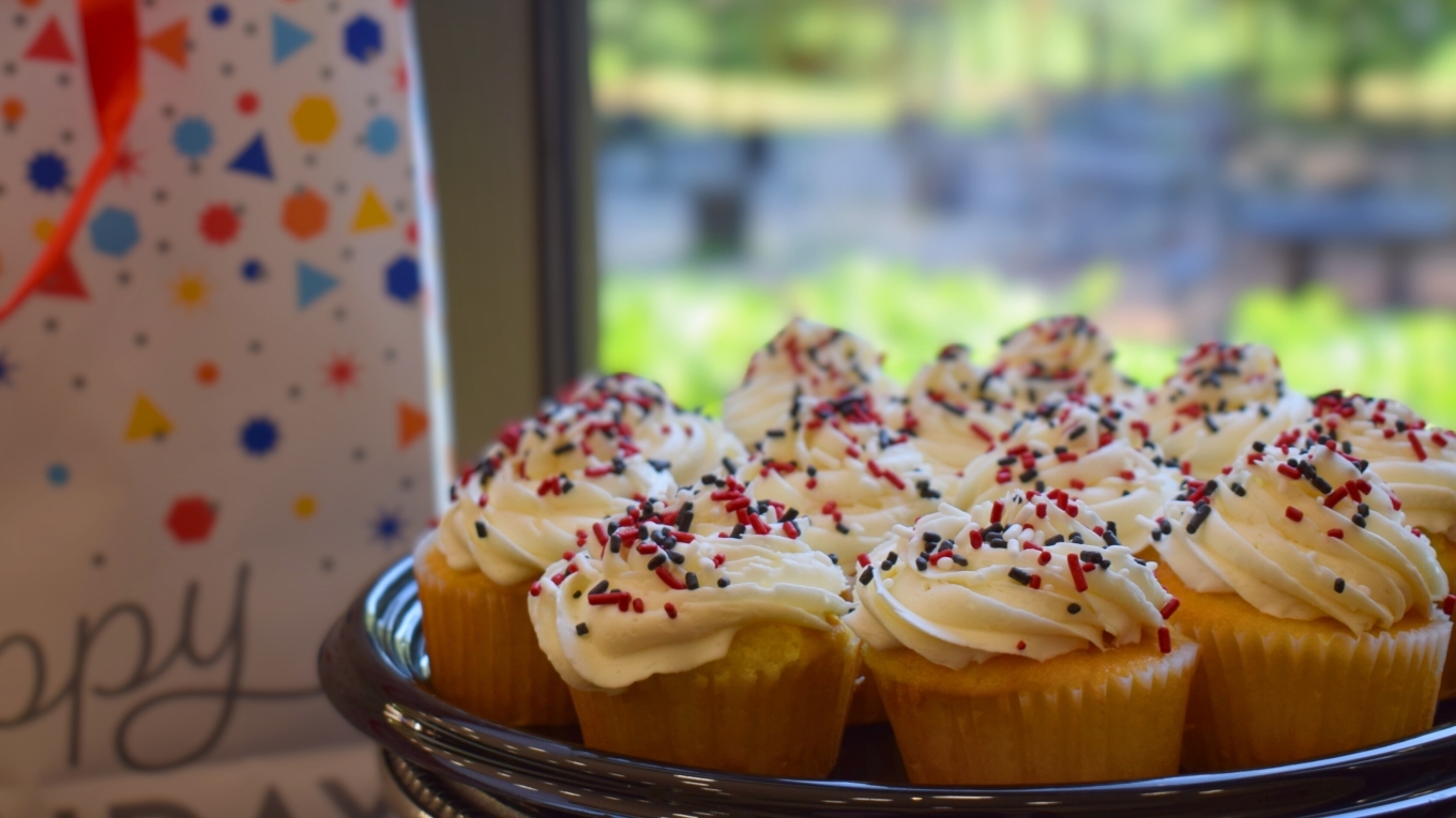 Cat Packs | Davidson