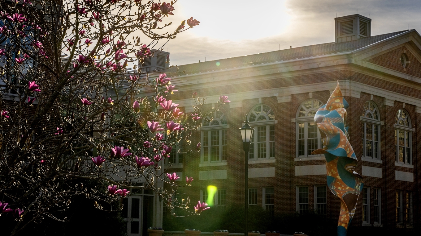 Strategic Plan | Davidson