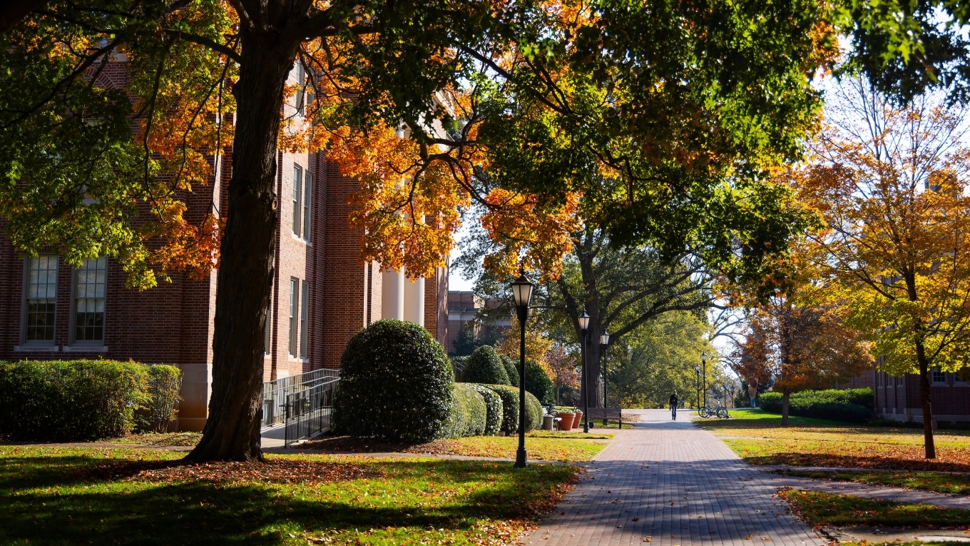 Mission and Values | Davidson