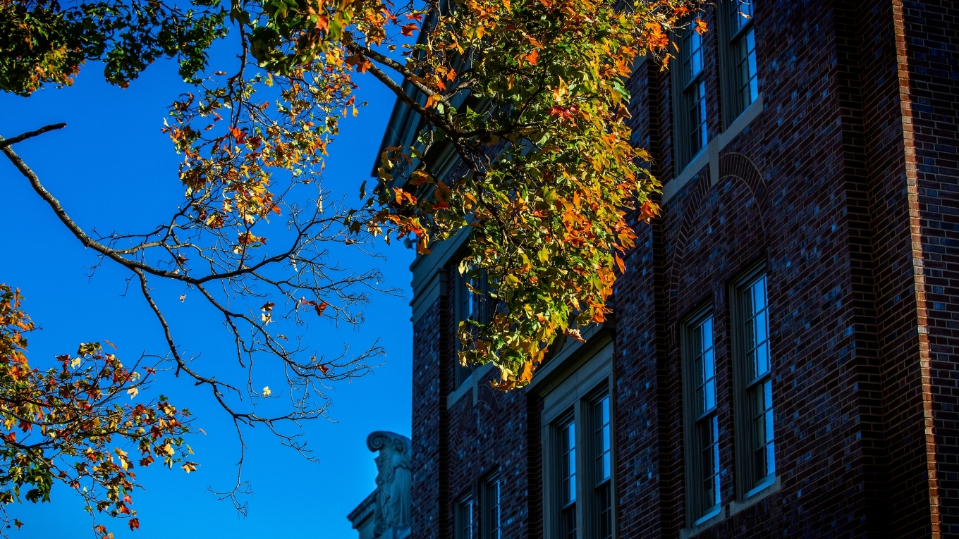 First Eleven Members of Class of 2026 Elected to Phi Beta Kappa | Davidson